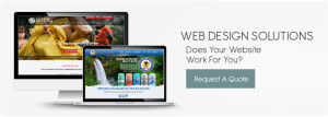 Hawaii Web Design and Development Firm | Professional Internet Marketing